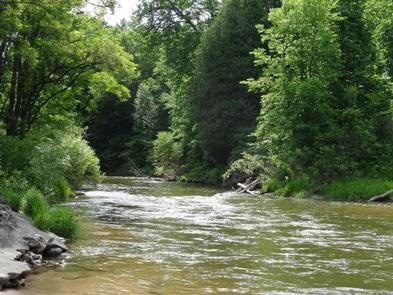 Pine River Info - CoolWaters Campground